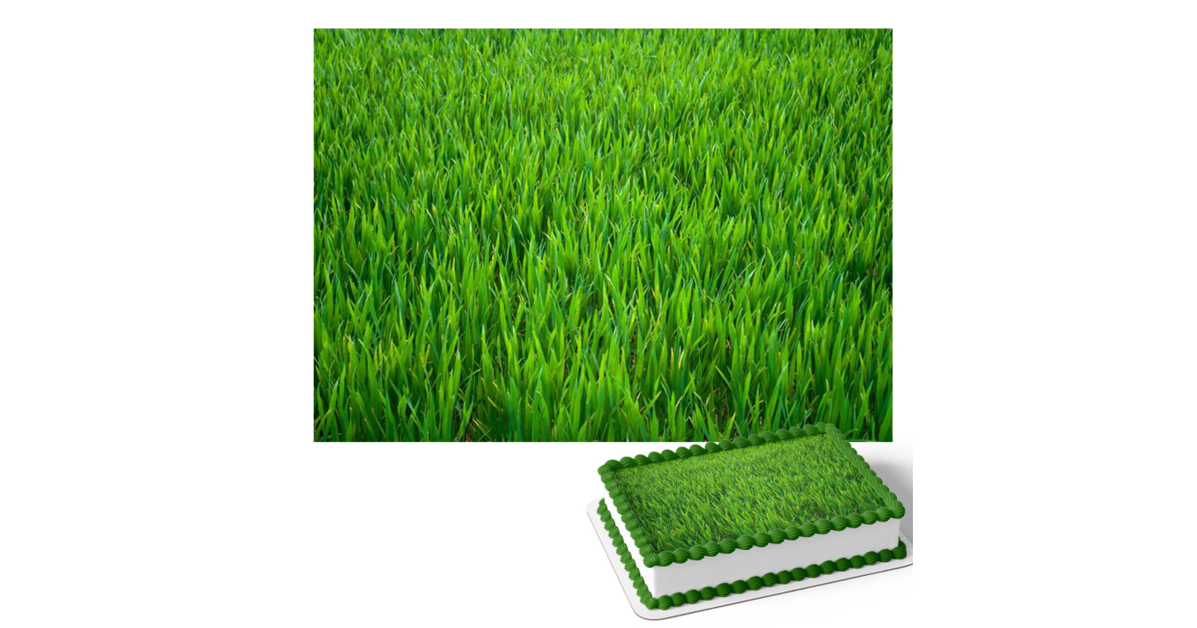 Grass (Rectangle Cake Topper)